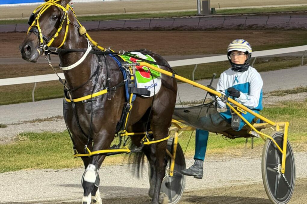 Nutrien Equine Standardbred – Australian Standardbred Sales, Nutrien ...