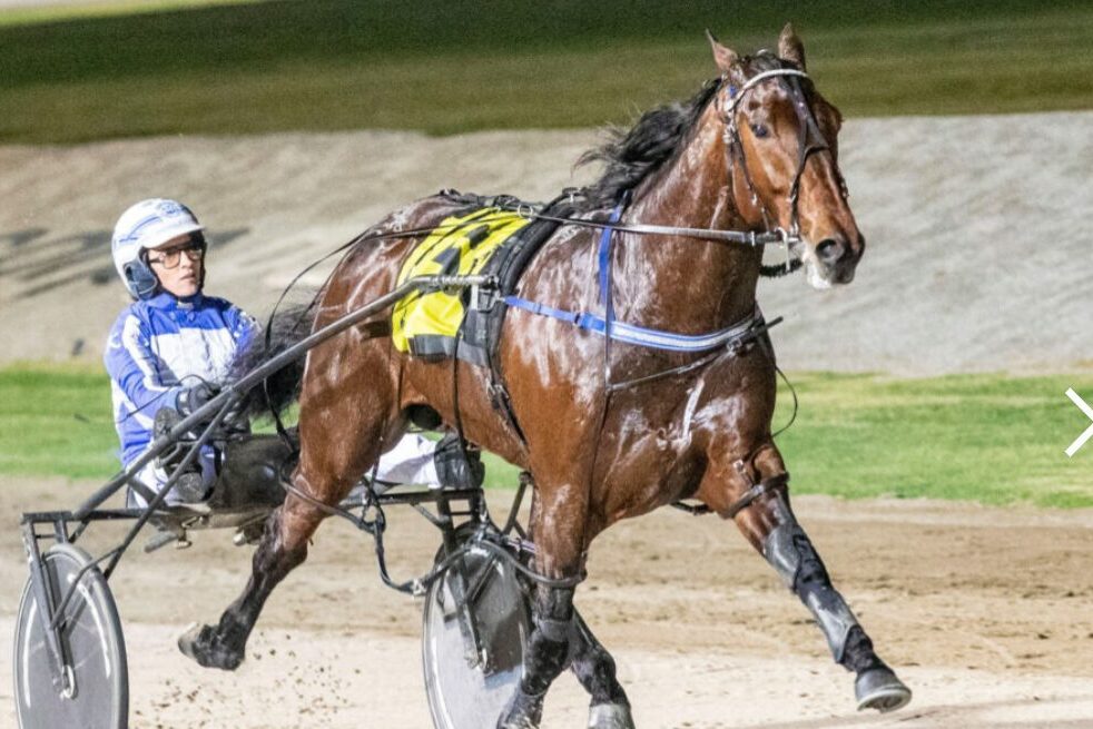 Nutrien Equine Standardbred – Australian Standardbred Sales, Nutrien ...