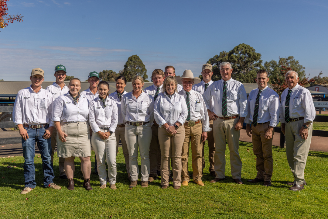 About Nutrien Equine – Nutrien Equine Standardbred