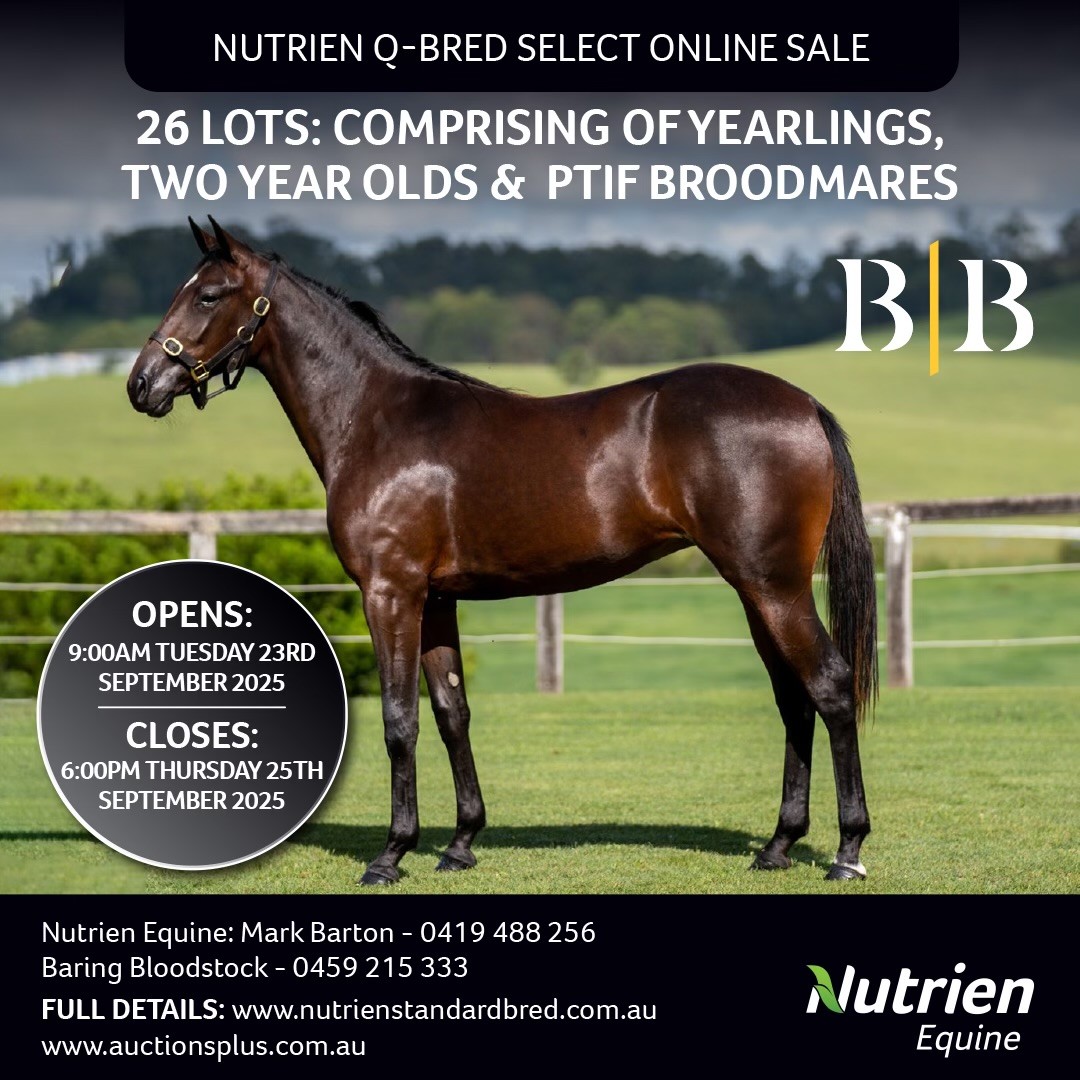Nutrien Equine Standardbred – Australian Standardbred Sales, Nutrien ...