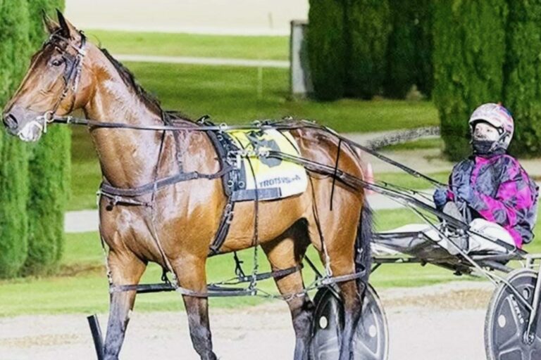 Nutrien Equine Standardbred – Australian Standardbred Sales, Nutrien ...