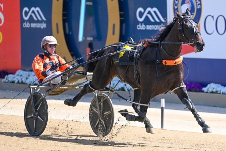 Nutrien Equine Standardbred – Australian Standardbred Sales, Nutrien ...