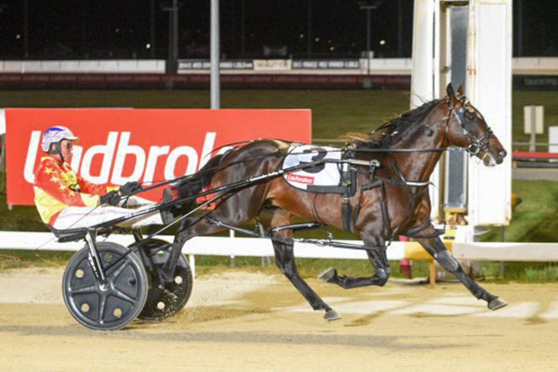 Nutrien Equine Standardbred – Australian Standardbred Sales, Nutrien ...